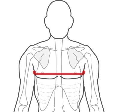 Measurement Toolkit Simple Measures Circumference
