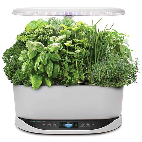 6 Best Aerogarden Models Reviewed Spring 2026