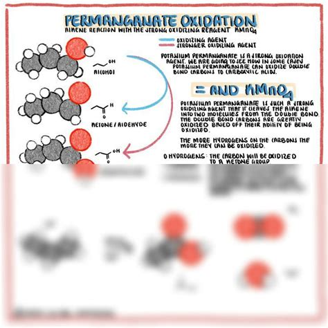 Solution Permanganate Oxidation Studypool