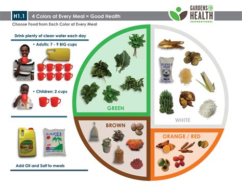 Dietary Diversitys Importance In Nutrition Programming — Gardens For
