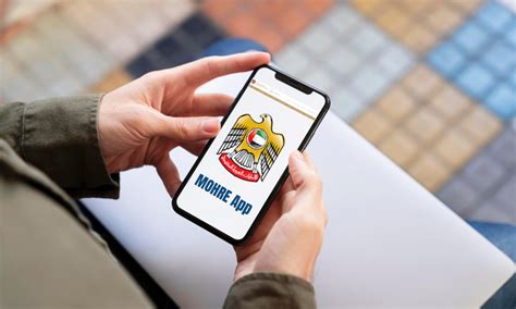 Mohre Grace Period Grace Period In Uae