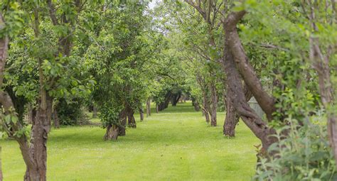 Faalangst Herkennen En Oplossen Begint In Je Onderbewuste Brein