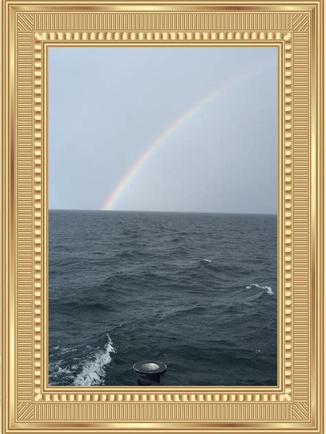 Rainbow Gallery Forwardworking