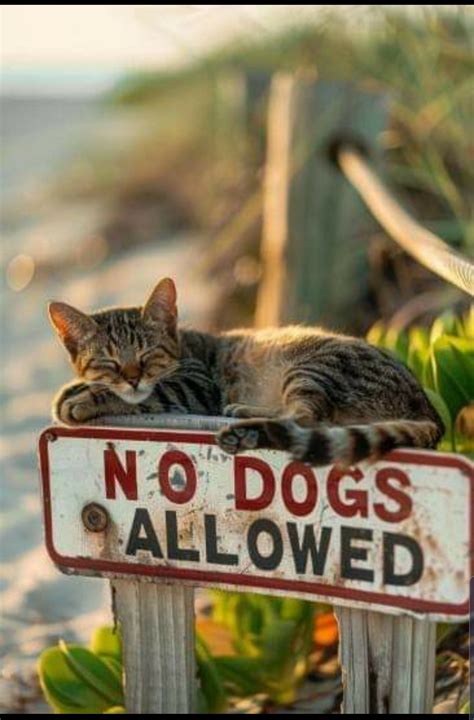 Mr Freaky One On Tumblr