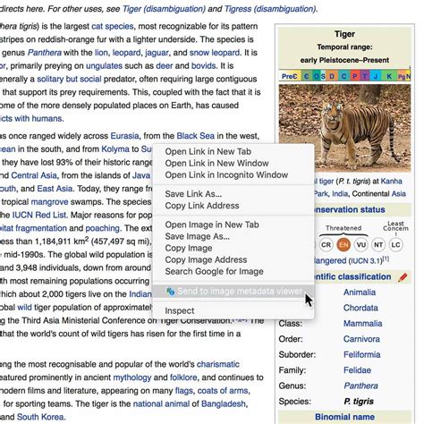 Verification Chrome Plugins And Extensions App Ringer