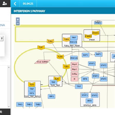Type I Interferon Pathway On The C19dmap Repository That Was Used As A