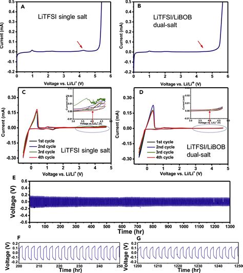 A Superionic Conductive Electrochemically Stable Dual Salt Polymer