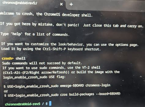 how to activate sudo commands r crouton