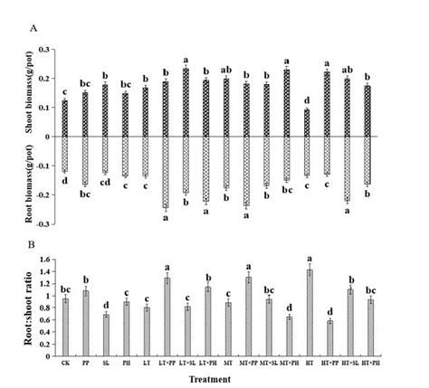 Effects Of Dark Septate Endophyte Dse And Trichoderma Viride On The
