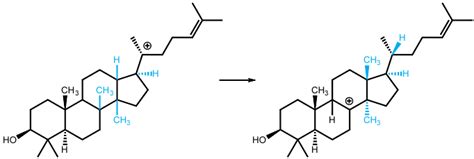 Organic Chemistry Lipids Free In Depth Study Guide