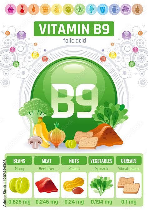 Folic Acid Vitamin B9 Rich Food Icons Healthy Eating Flat Icon Set