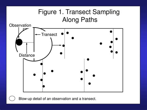 Ppt Transect Sampling Methods For A Minority Population Genetic
