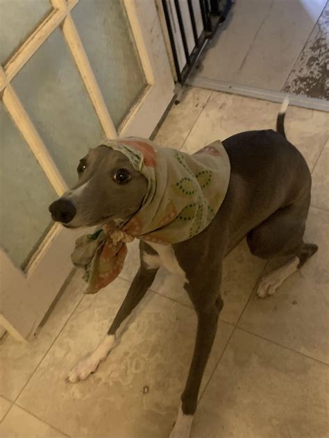 Liddol Babushka Wait In Bread Line 1934 Colourised Scrolller