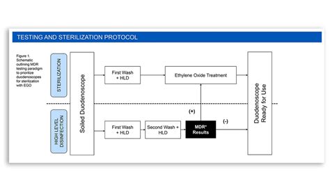 Single Use Endoscopy On Linkedin Enhancing Duodenoscope Sterilization