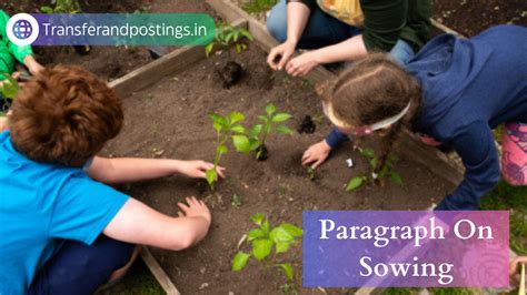 Paragraph On Sowing A Comprehensive Guide To Planting And Growing