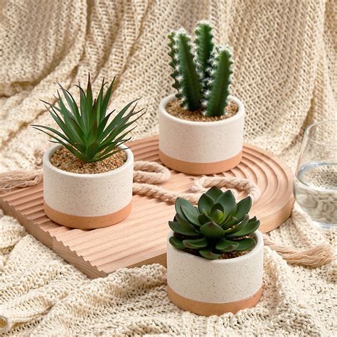 Primrue Artificial Succulent Plants In Ceramic Pots Faux Assorted