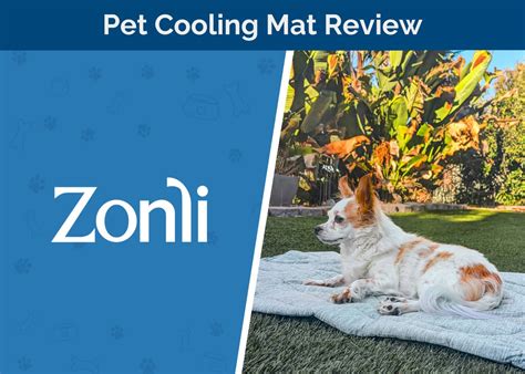 Zonli Pet Cooling Mat Review 2025 An Experts Guide Hepper Pet Resources