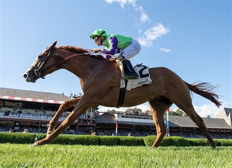 Carl Spackler Dominant In Saranac