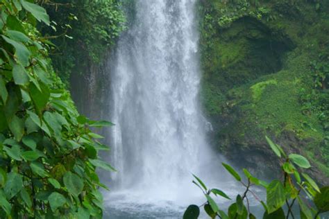 90 Fotos Bilder Und Lizenzfreie Bilder Zu La Paz Wasserfall Fotos