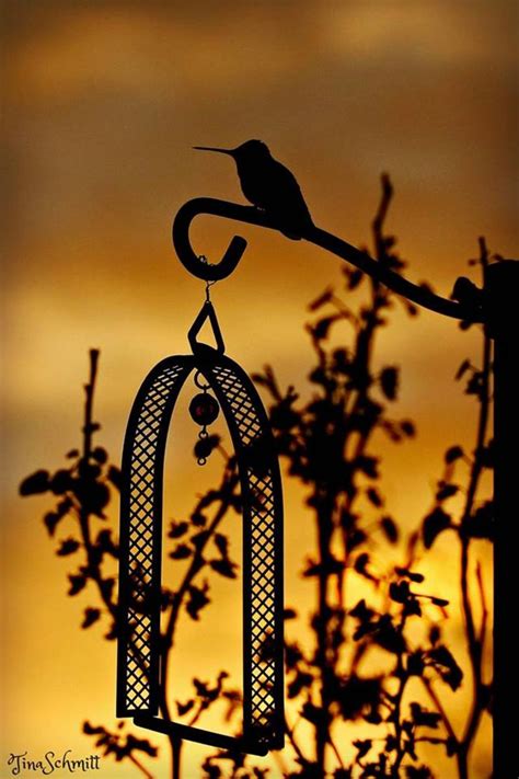 Epitheelweefsel Kenmerken Typen En Functies Stam 2025