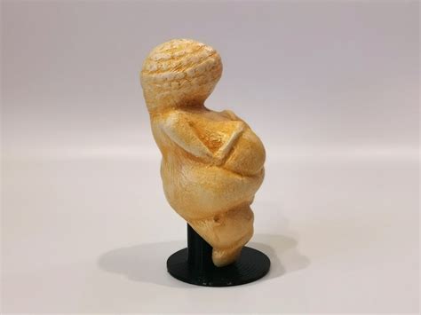 Paleolithic Venus Of Willendorf Ivf T Fertility Goddess Primitive