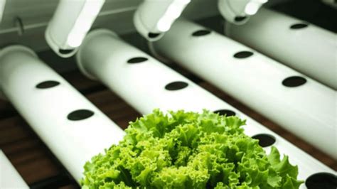 Top 10 Led Grow Lights Manufacturers In China 2025