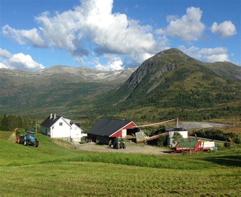 Expat Interview Running A Farm In Norway