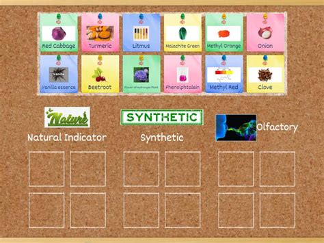 Classification Of Indicators Group Sort