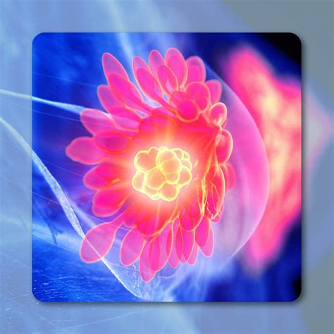 Neratinib Generates Cns Responses Across Her2 Breast Cancer Brain