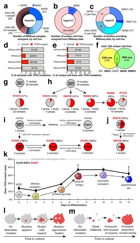 Human Pluripotent Stem Cells Recurrently Acquire And Expand Dominant
