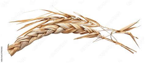 Wave Of Sweet Grass Woven Into Traditional Braids Used In Crafts And For Its Pleasant Fragrance