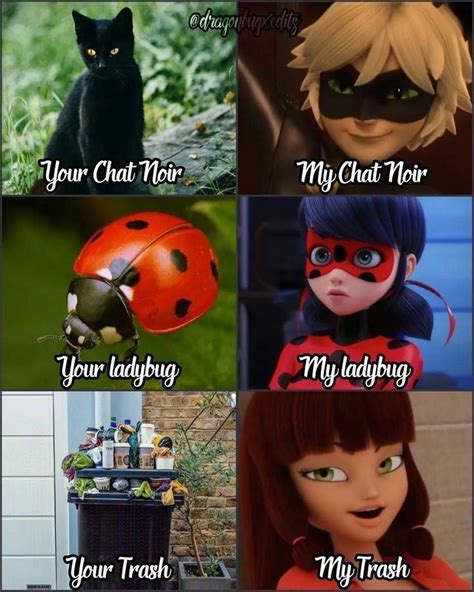 Which Miraculous Ladybug Character Are You Most Like Artofit