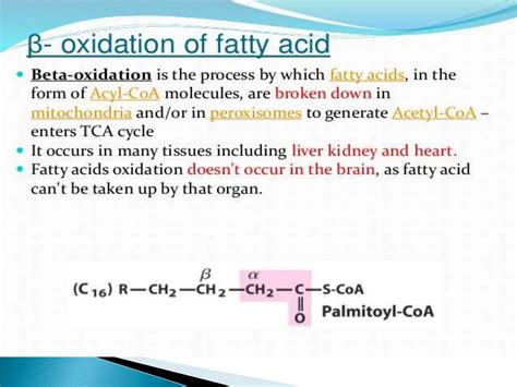 Beta Oxidationpptx