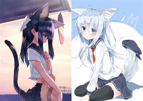 Terminology How To Differentiate Nekomimi From Inumimi Anime