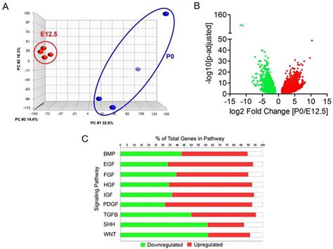 Global Rna Seq Analysis A Principle Component Analysis Of Rna Seq