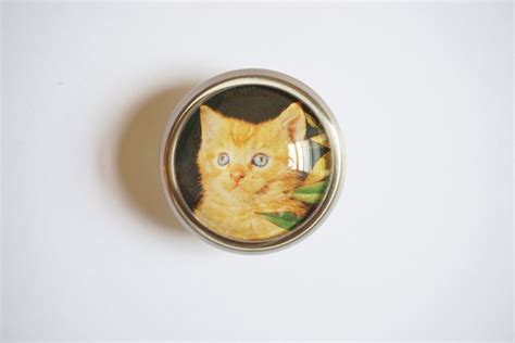 Cat Knobs Brass Or Brushed Nickel Set Of 4