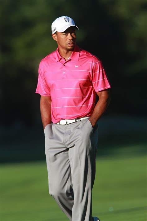 Time Passing Tiger By Boston Herald