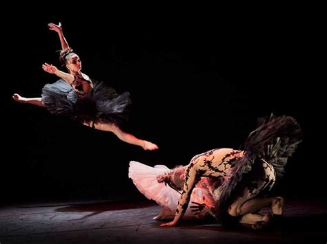 Le Lac Des Cygnes De Florence Caillon Et Ses Acro Danseurs