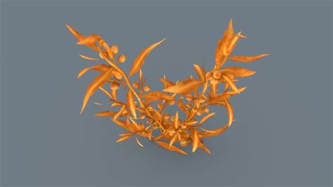 Sargassum Phaeophyceae Macroalgae Model Turbosquid 1236734