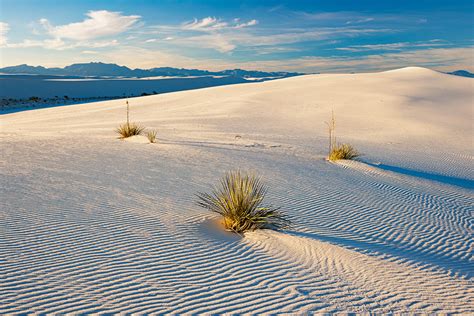 New Mexico White Sands National Park Photo Tour