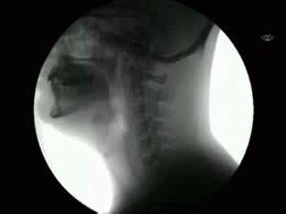 Curiociencia Laboratorioenaccion