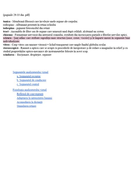 Analizatorul Vizual Pdf