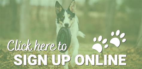 Intermediate Agility