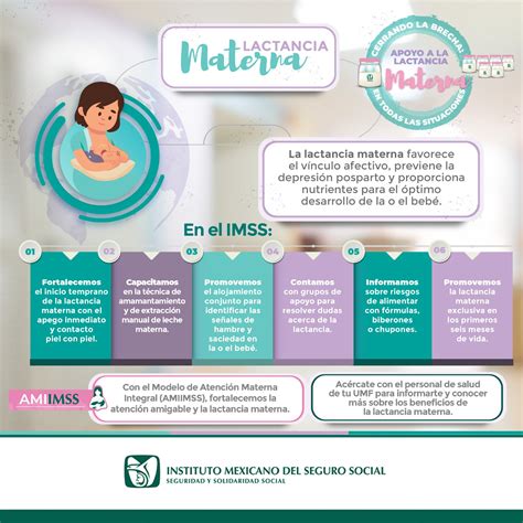 Imss Destaca Beneficios De La Lactancia Materna Para Madre Y Bebé