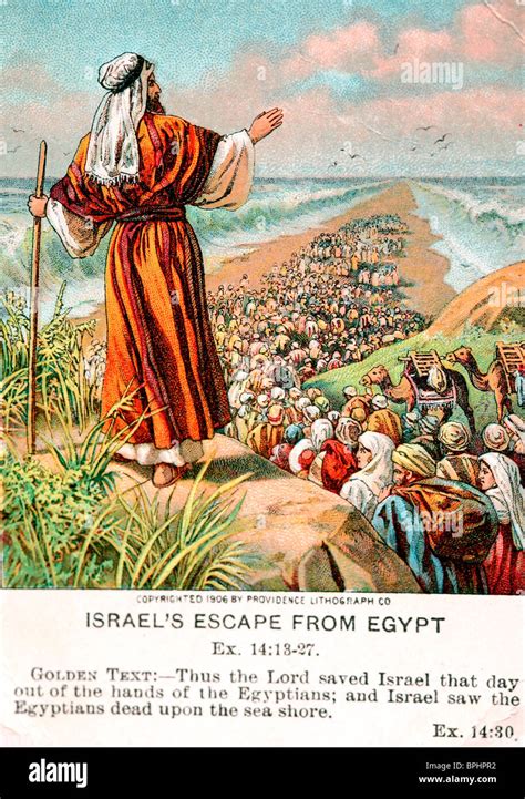 Exodus