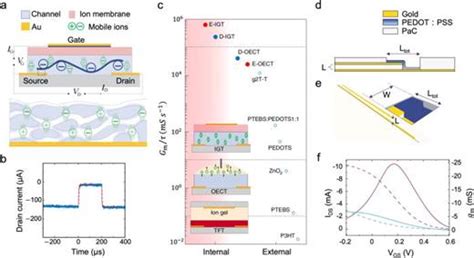 Flexible Organic Transistors For Neural Activity Recording Applied