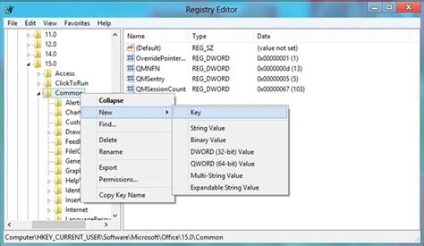 Disable Typing Animation In All Office 2013 Applications [tip]