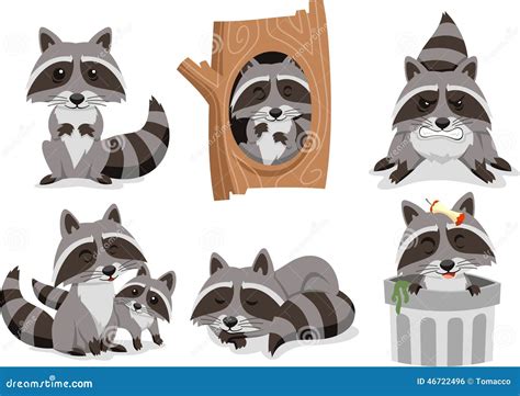 Raccoon Cartoon Set Stock Illustration Illustration Of Young 46722496