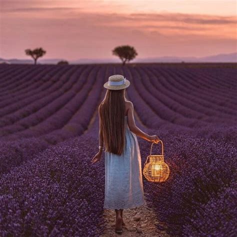 Pin By Alexandra On Lavander Lavender Fields Photography Beautiful