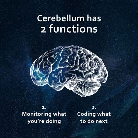 Gina Cherkowski On Linkedin Neurodiversity Brain Learning Teach Learn